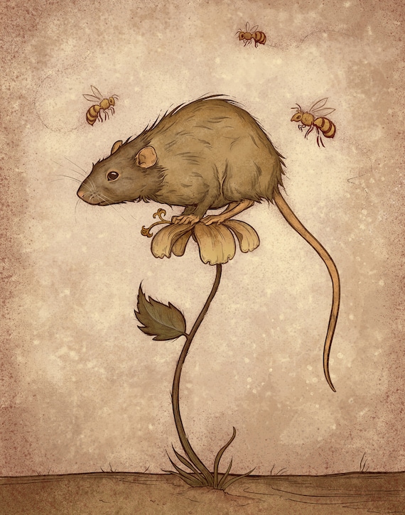 Rat Art