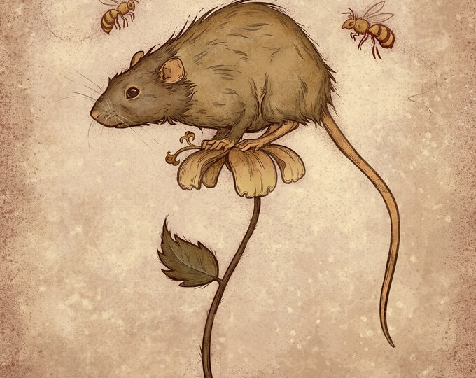 Frogs and Rat Art Print 8x8 - Etsy