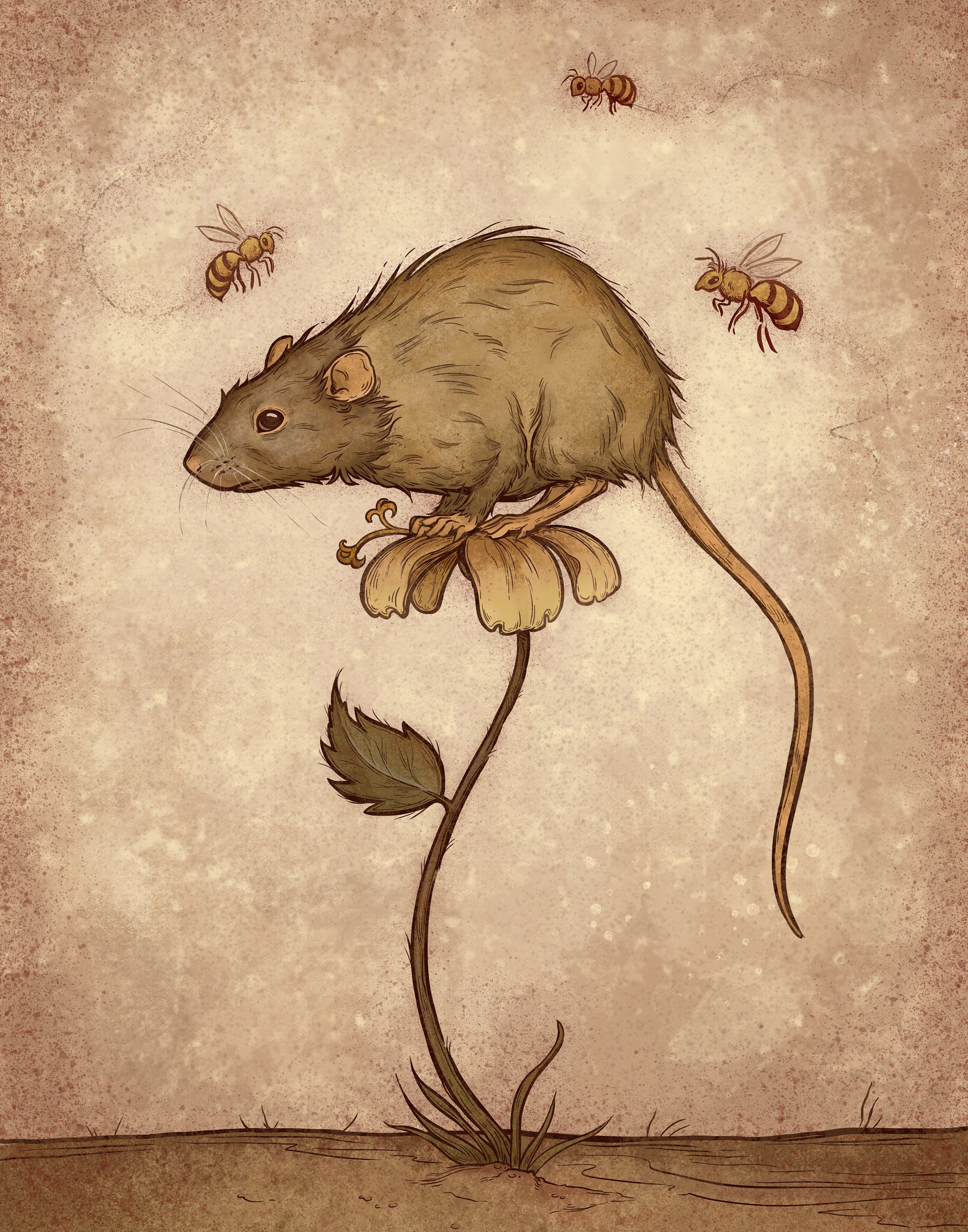Rat Art Print Rat on a Flower | Etsy