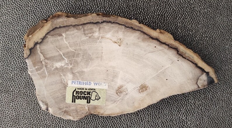 Vintage Petrified Fossil Wood Carved & Polished Ashtray/ornament From ...