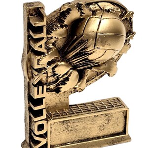Laser Engraved Custom Bust Out Volleyball Trophy! - Etsy
