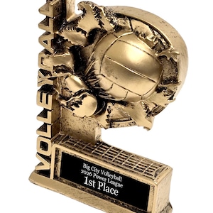 Laser Engraved Custom Bust Out Volleyball Trophy! - Etsy
