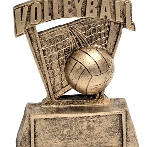 Laser Engraved Custom Pro Sports Volleyball Trophy! - Etsy