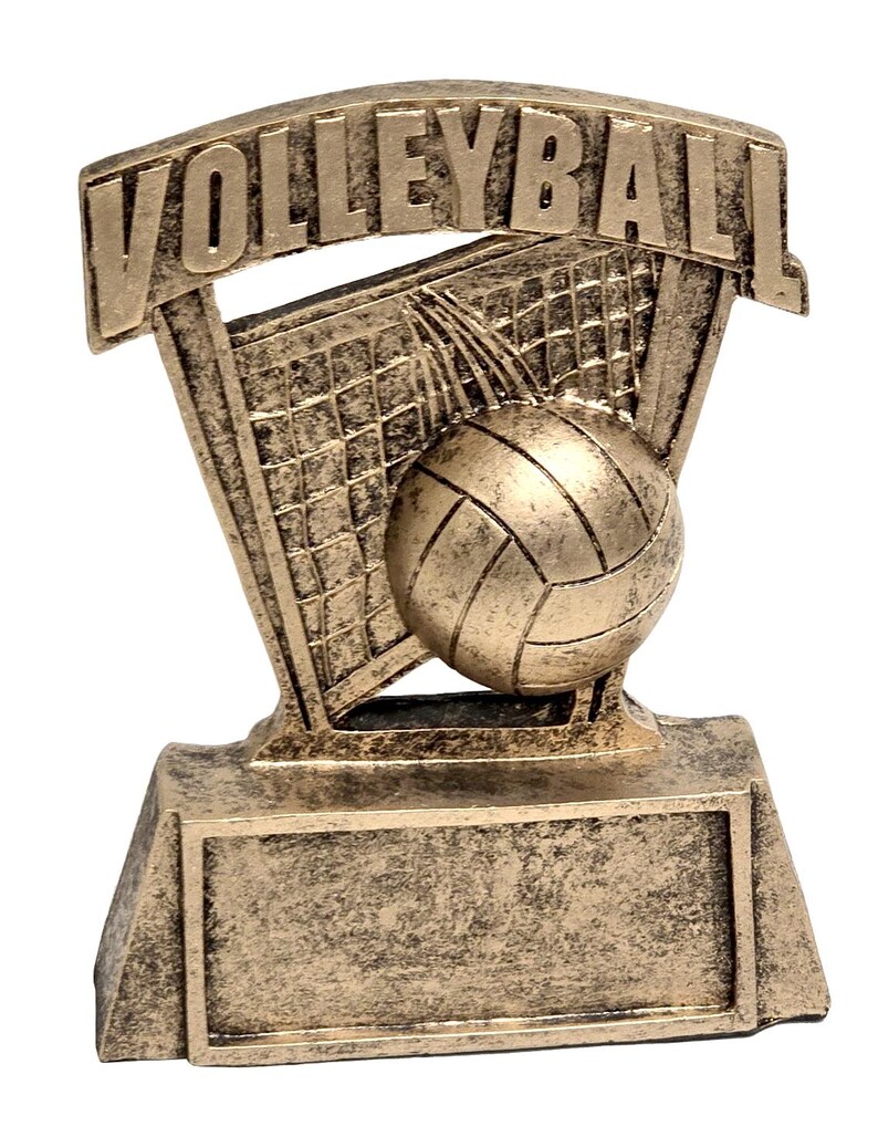 Laser Engraved Custom Pro Sports Volleyball Trophy! - Etsy