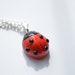 Ladybird Necklace, Ladybird Jewellery, Ladybug Necklace, Spring ...