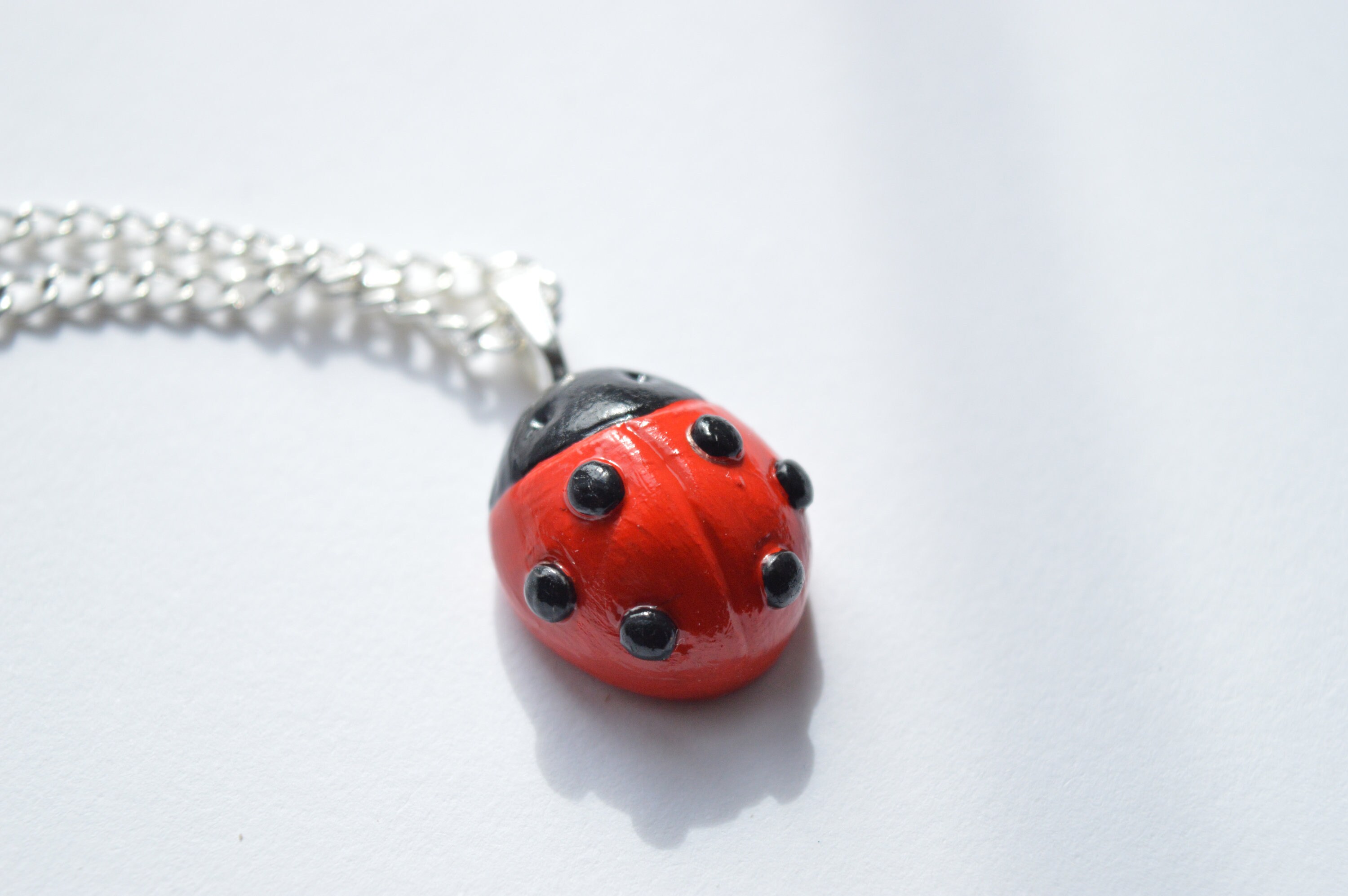 Ladybird Necklace, Ladybird Jewellery, Ladybug Necklace, Spring ...
