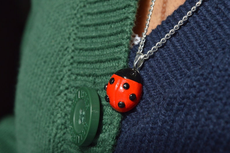 Ladybird Necklace, Ladybird Jewellery, Ladybug Necklace, Spring ...