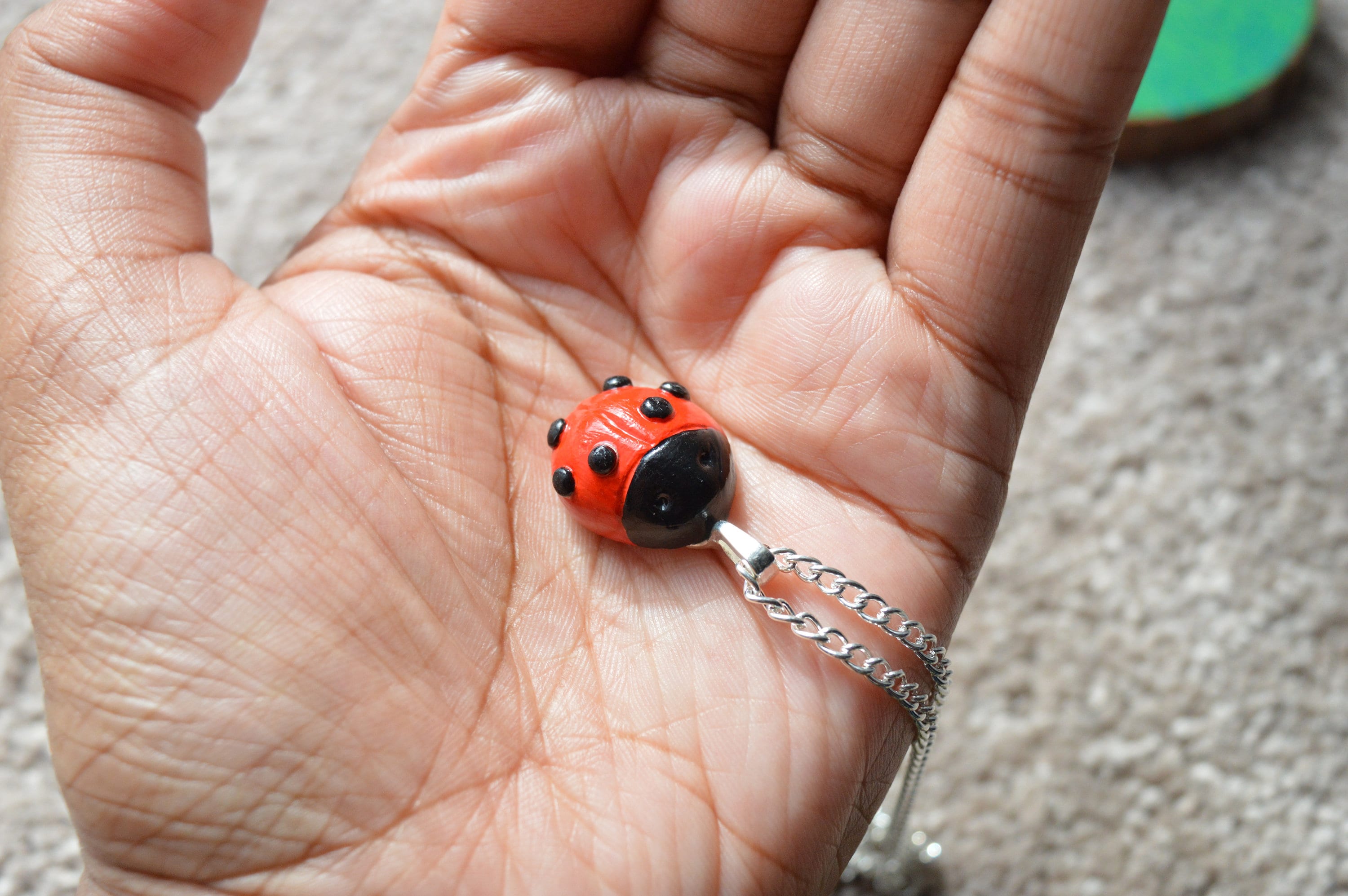 Ladybird Necklace, Ladybird Jewellery, Ladybug Necklace, Spring ...