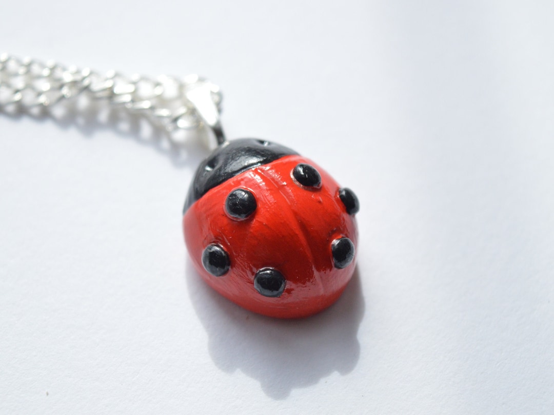 Ladybird Necklace, Ladybird Jewellery, Ladybug Necklace, Spring ...