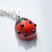 Ladybird Necklace, Ladybird Jewellery, Ladybug Necklace, Spring ...