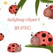 Ladybug Watercolor Clipart, Ladybug Png, Cute Ladybug, Instant Digital ...
