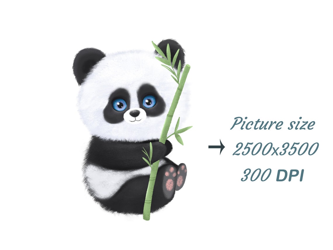 Watercolor Panda Clipart, Cute Panda Clipart, Baby Shower Clipart PNG ...