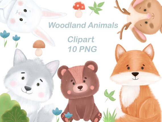 Woodland Animals Clipart Forest Animal Clip Art Watercolor | Etsy