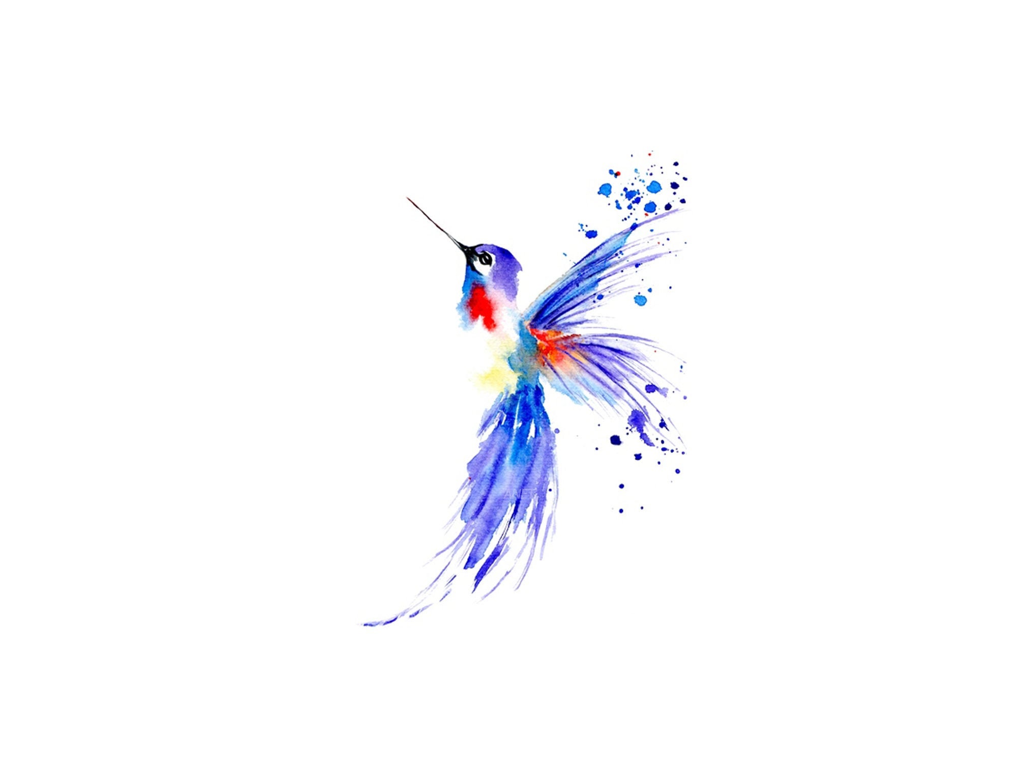 Hummingbird Watercolor Sublimation Design PNG, Paint Splashes ...