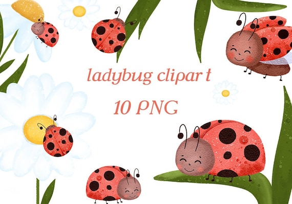 Ladybug Watercolor Clipart Ladybug Png Cute Ladybug Instant | Etsy