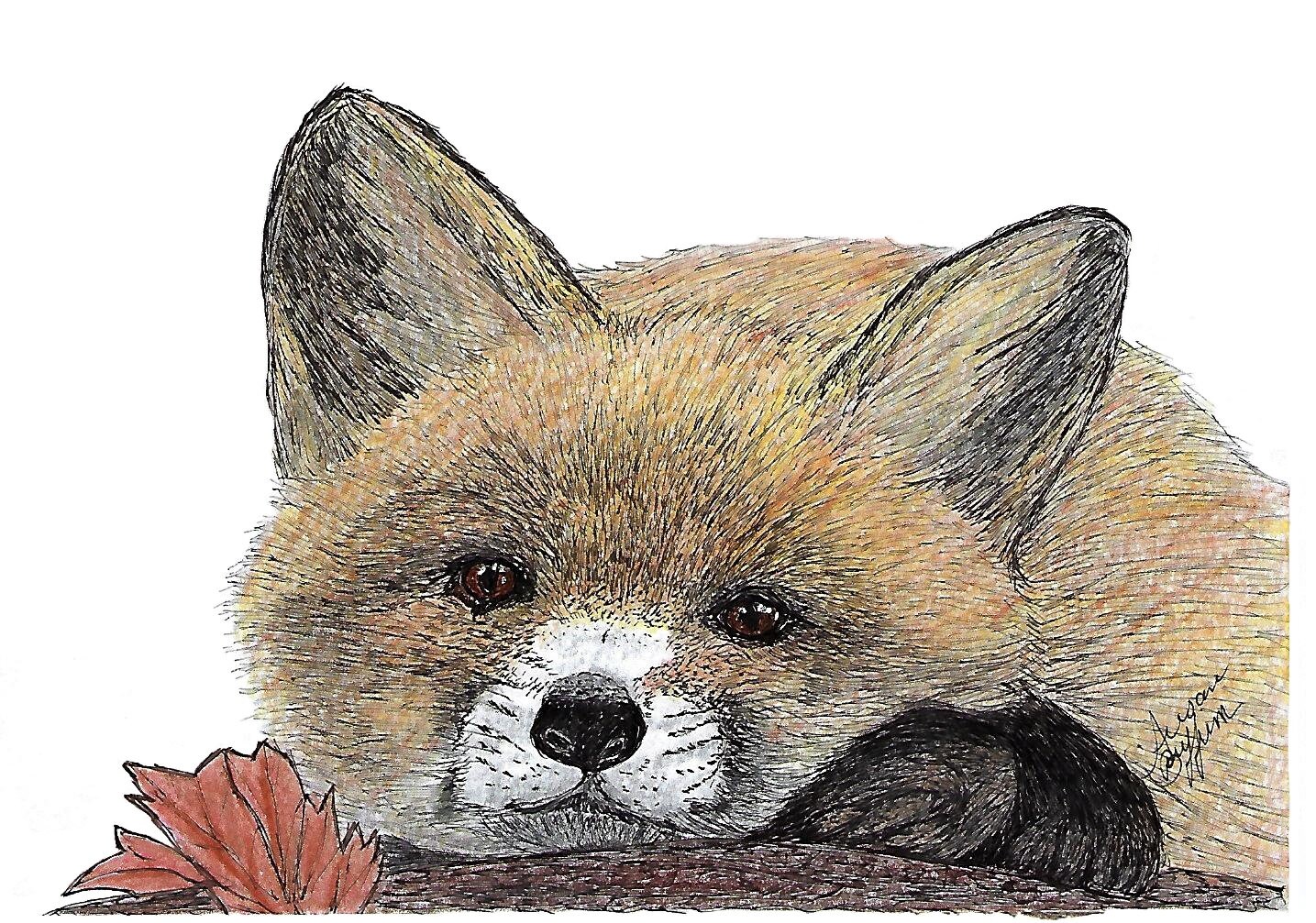 Fox Kit Pensive Art Print | Etsy