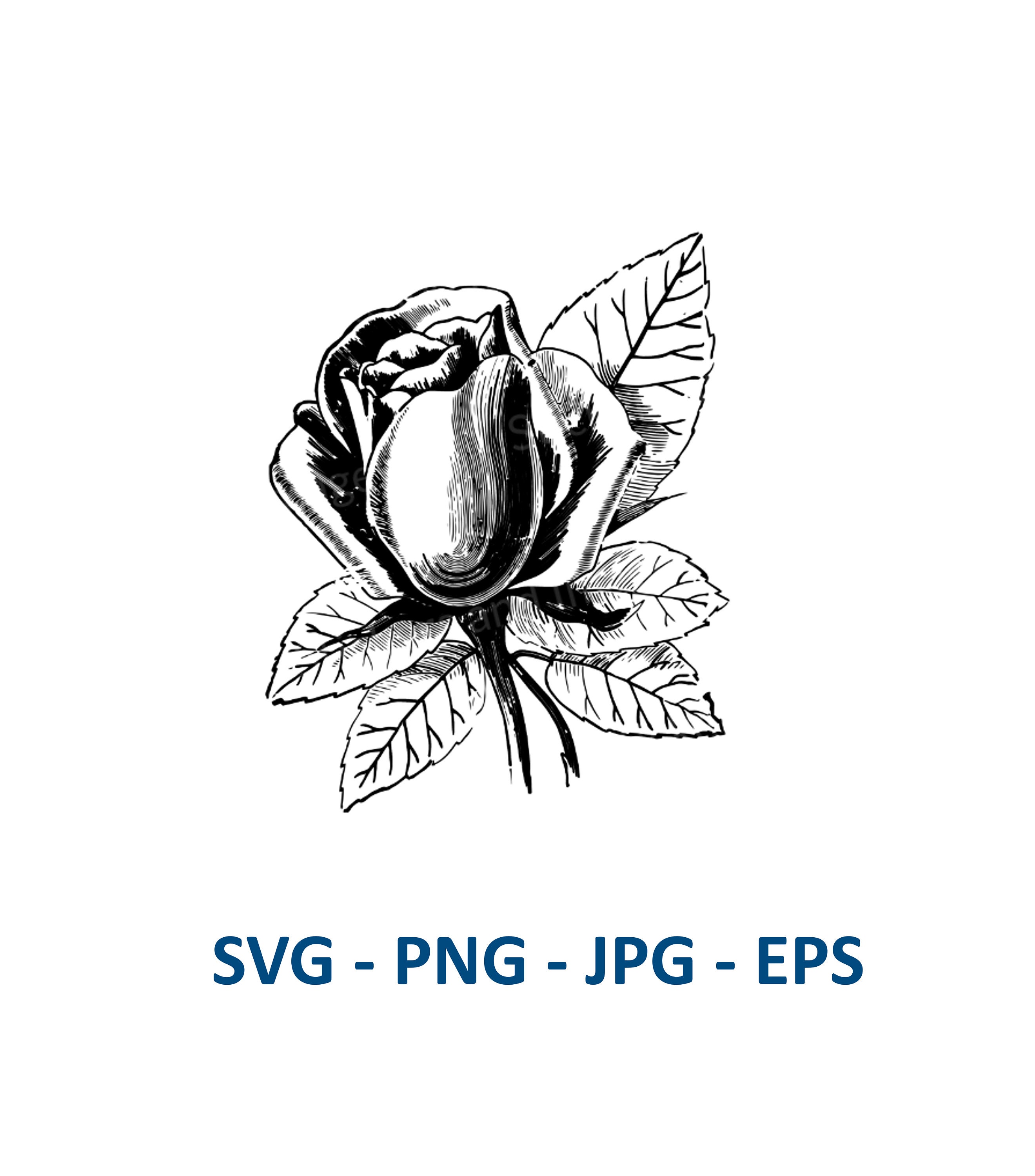Single Rose Outline