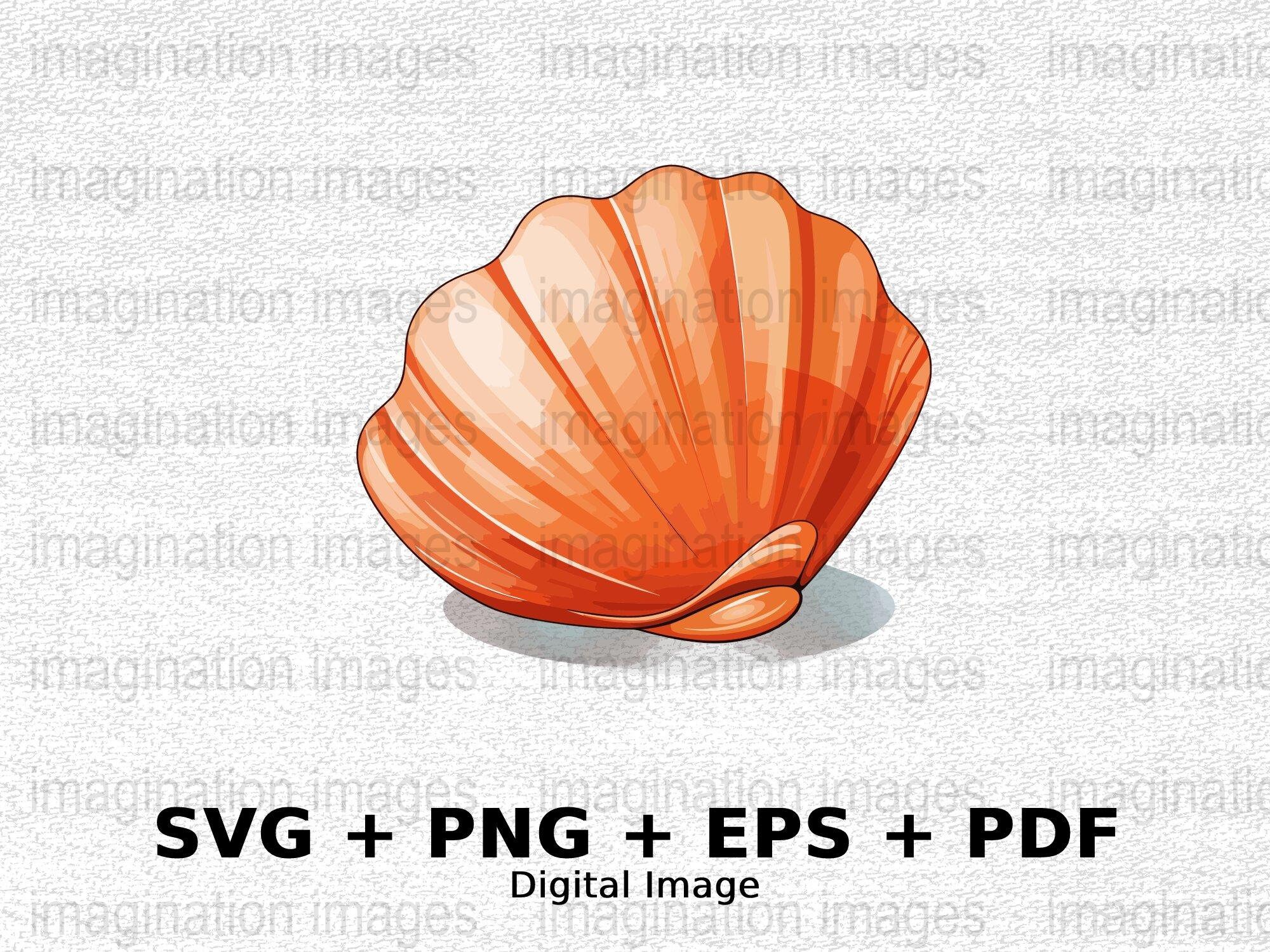 Cartoon Clamshell Image Png Svg Pdf Eps Commercial Use - Etsy