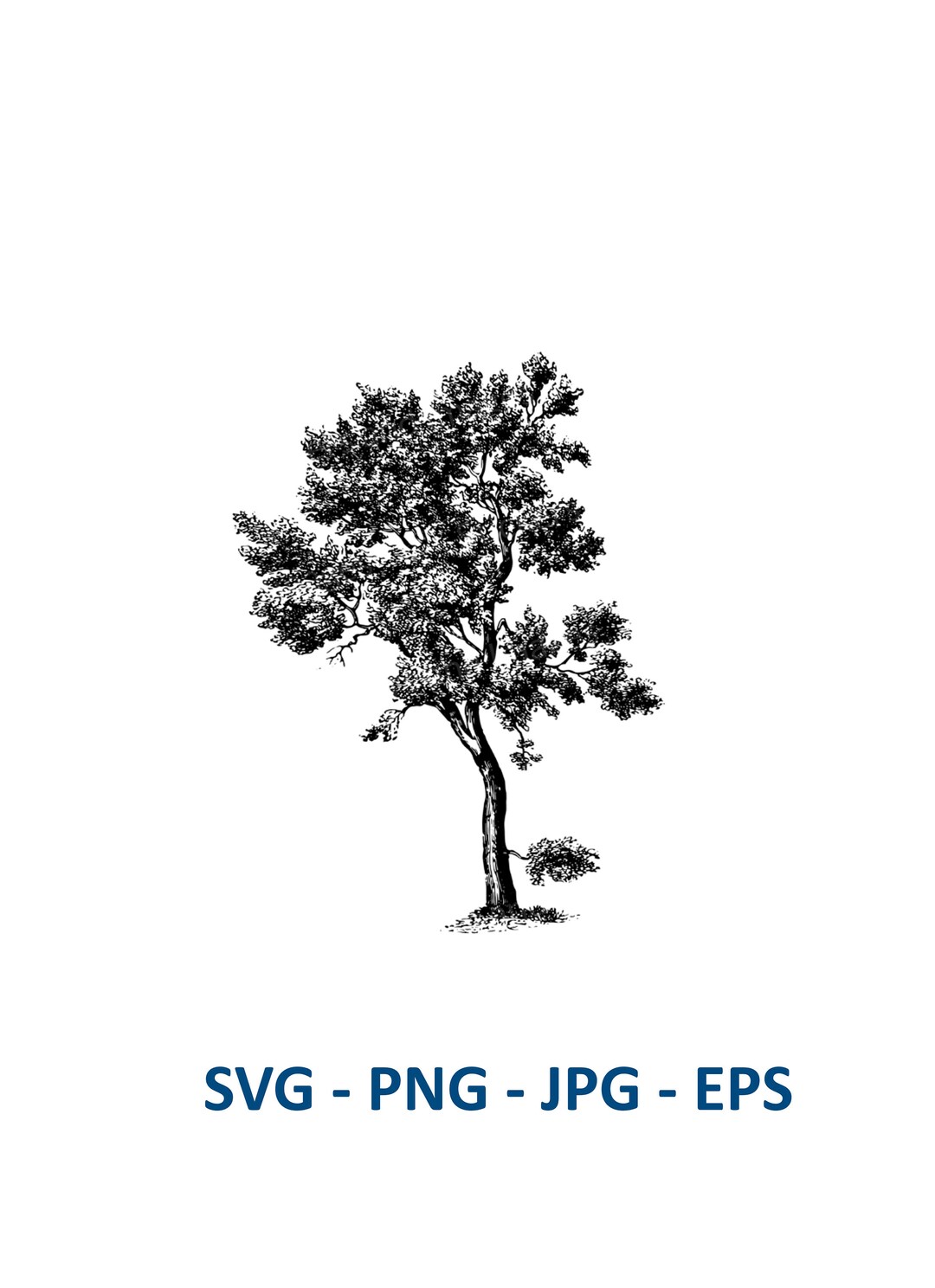 Single Tree | Instant Download | Digital File | SVG | PNG | JPG ...