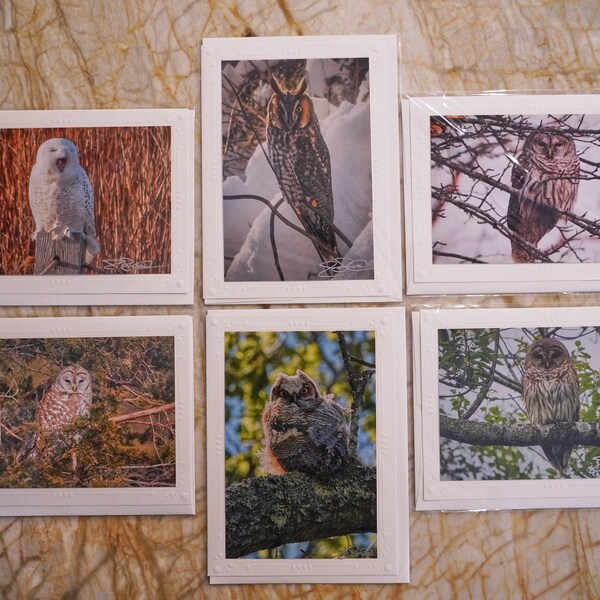 Owl Note Card - Etsy