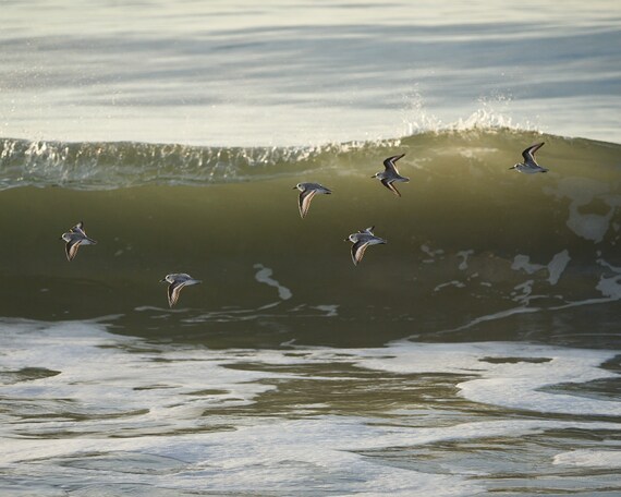 Rhode Island Surfing Beaches
