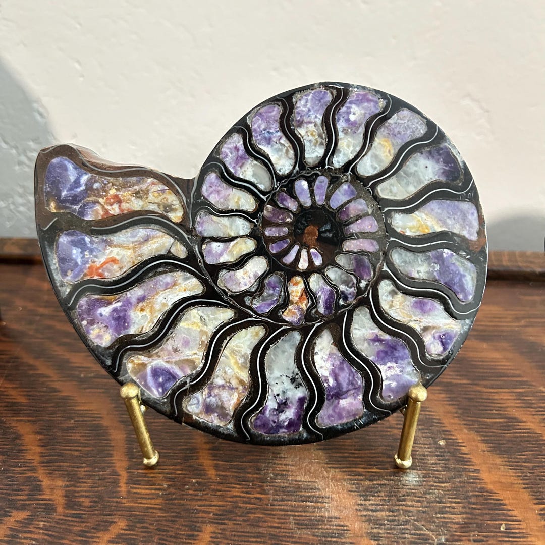 Large Ammonite With Purple Opal Inlay, Hand Made Ammonite Sculpture ...