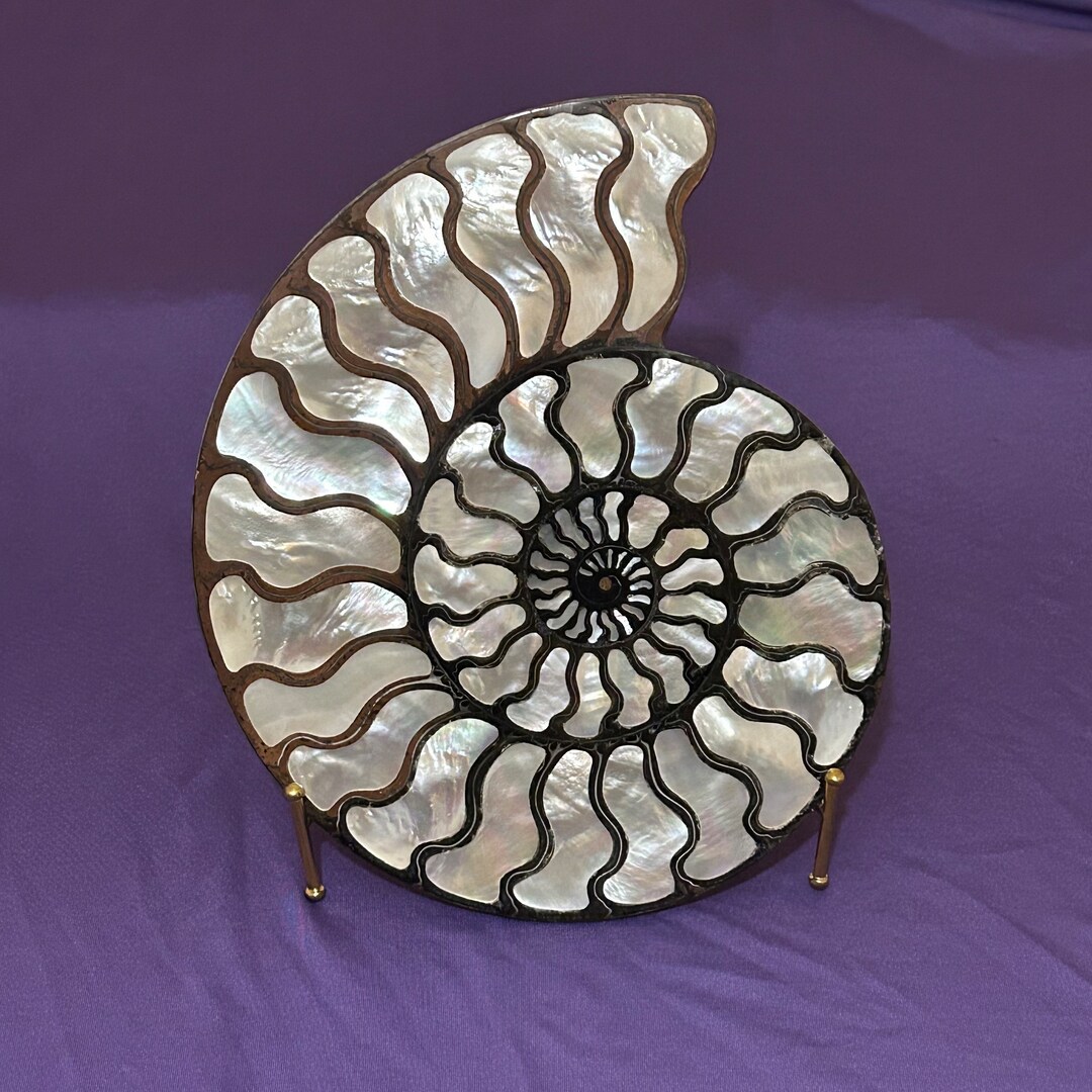 XXL Ammonite Fossil Sculpture With Mother of Pearl Inlay - Etsy