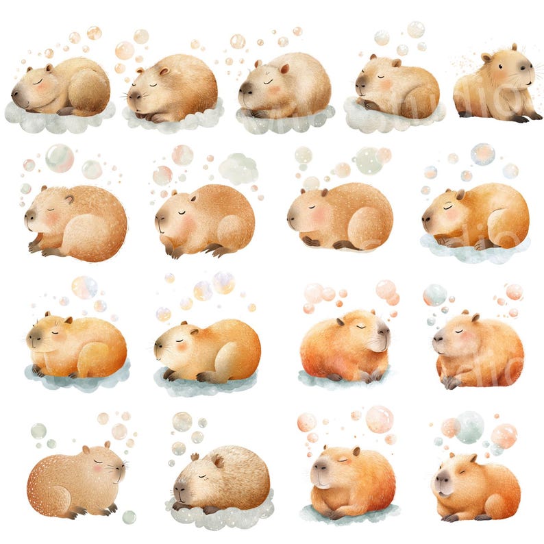 Cute Watercolor Capybara Clipart Bundle | Capybara Nursery Art L ...