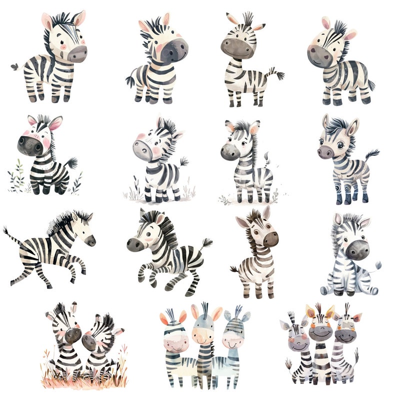 Cute Watercolor Zebra Animal Clipart|15 High-quality Pngs and Jpgs ...