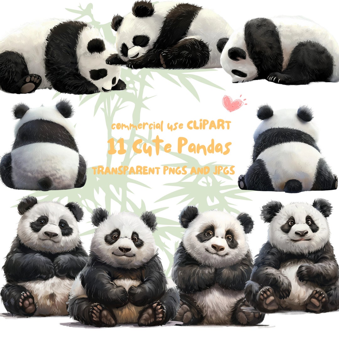 Watercolor Panda Clipart, Pandas Clipart, Cute Animal Clipart, 11 Pngs ...