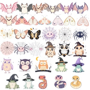 Halloween Clipart | Witch Halloween Clipart | Cute Skull Clipart ...