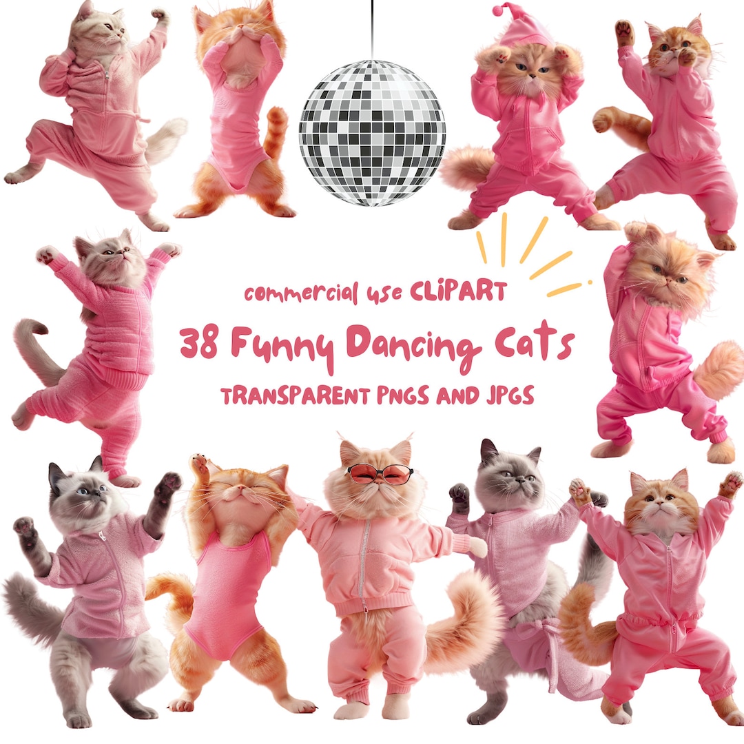 38 Funny Dancing Cats Collection: High-quality PNG JPG Digital Bundle ...