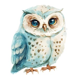 Watercolor Cute Owl Clipart Bird Clipart|nursery Clipart, Crafts and ...