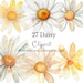 27 Watercolor Daisy Clipart, Flower Clipart, Jpgs and Pngs, Digital ...