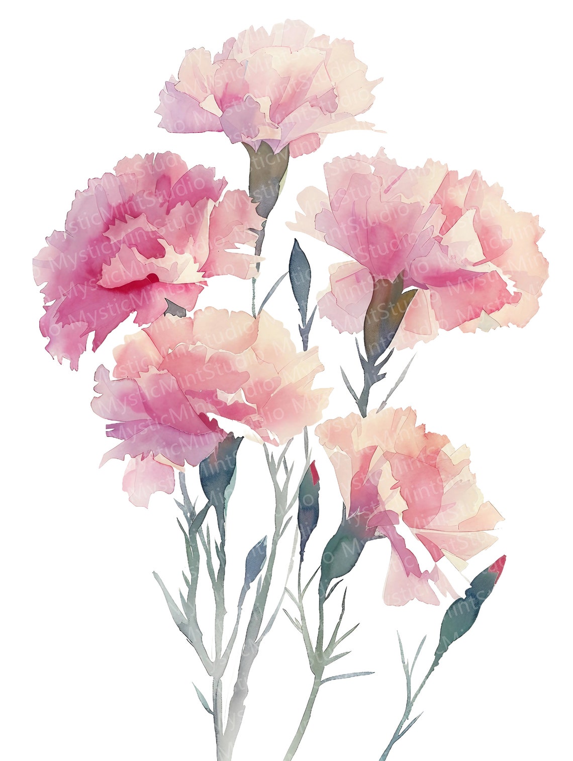 Carnation 56 Jpgs and Pngs, Digital Download for Flowers Print ...