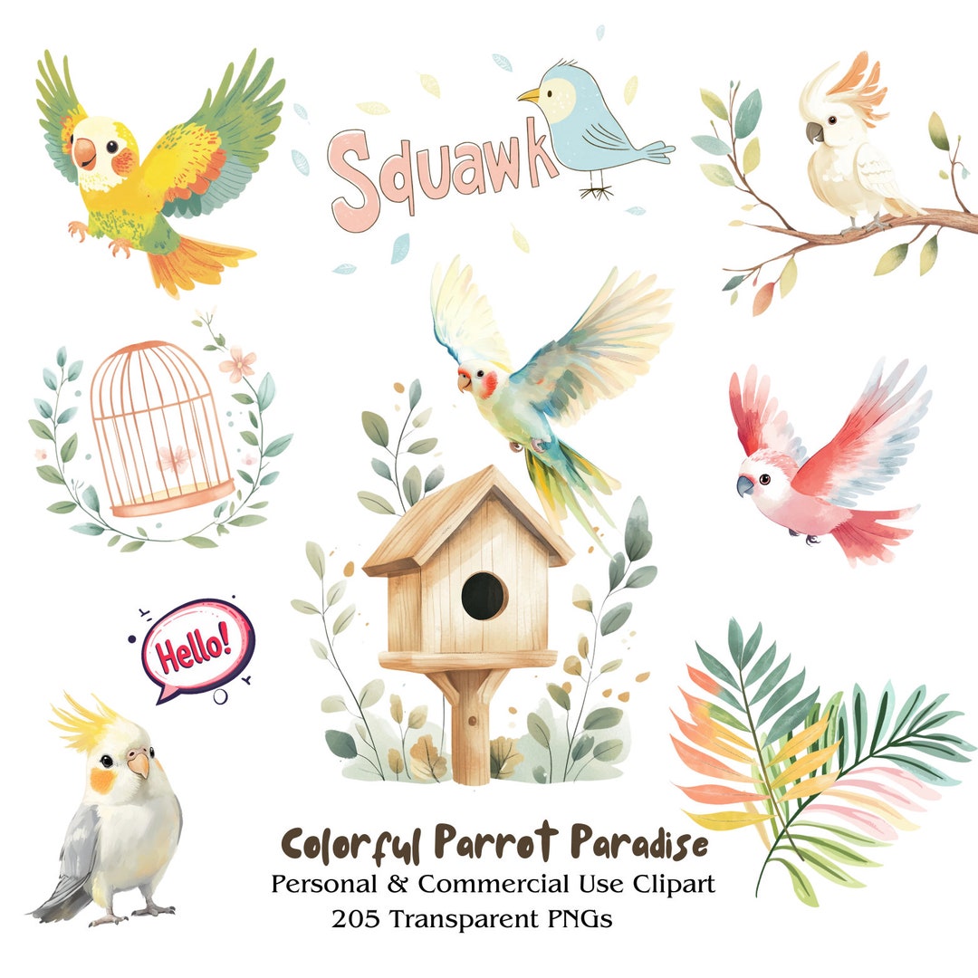 Cute Watercolor Parrot Clipart | Tropical Bird Clipart | Exotic Bird ...