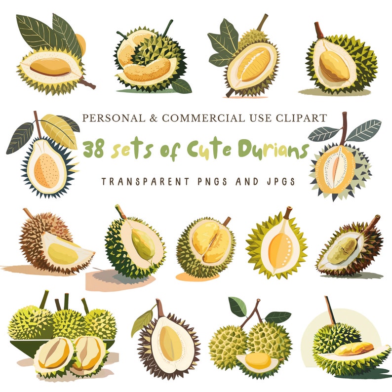 Durian Fruit Clipart|38 High-quality Pngs and Jpgs|sublimation,digital ...