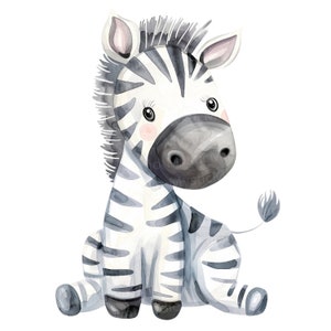 Cute Watercolor Zebra Animal Clipart|15 High-quality Pngs and Jpgs ...