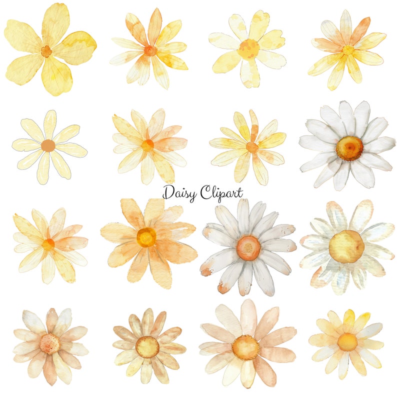 27 Watercolor Daisy Clipart, Flower Clipart, Jpgs and Pngs, Digital ...