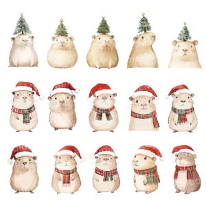 Christmas Capybara Clipart | Cute Capybara Clipart | Festive Capybara ...