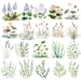 112 Watercolor Cute Pond Life Clipart Bundle,swan Clipart Duck Clipart ...