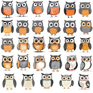 Watercolor Cute Owl Clipart Bird Clipart|nursery Clipart, Crafts and ...
