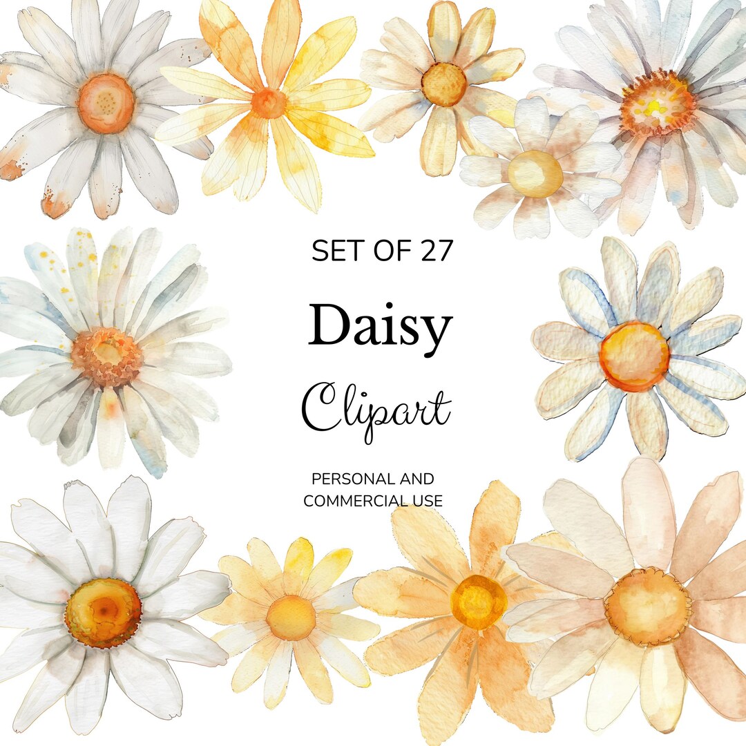27 Watercolor Daisy Clipart, Flower Clipart, Jpgs and Pngs, Digital ...