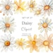 27 Watercolor Daisy Clipart, Flower Clipart, Jpgs and Pngs, Digital ...