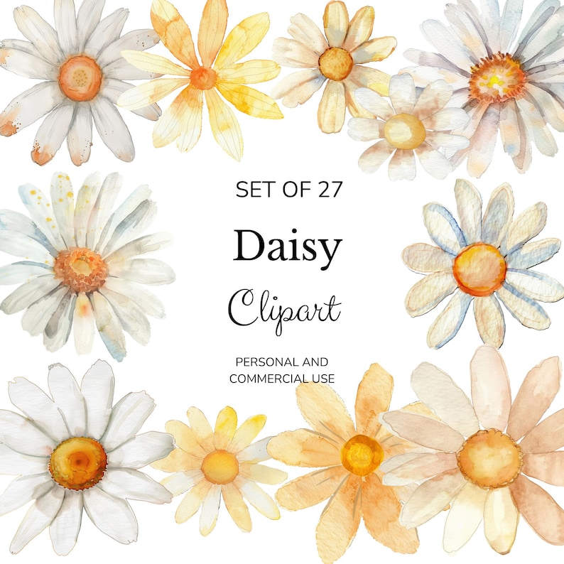 27 Watercolor Daisy Clipart, Flower Clipart, Jpgs and Pngs, Digital ...