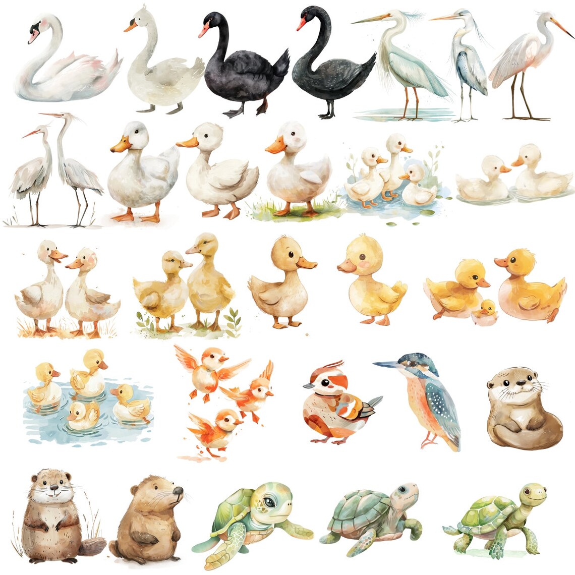112 Watercolor Cute Pond Life Clipart Bundle,swan Clipart Duck Clipart ...