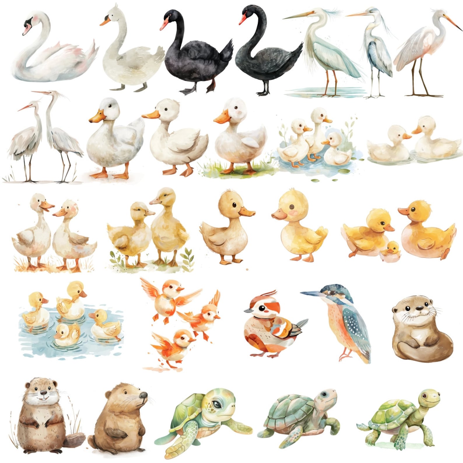 112 Watercolor Cute Pond Life Clipart Bundle,swan Clipart Duck Clipart ...