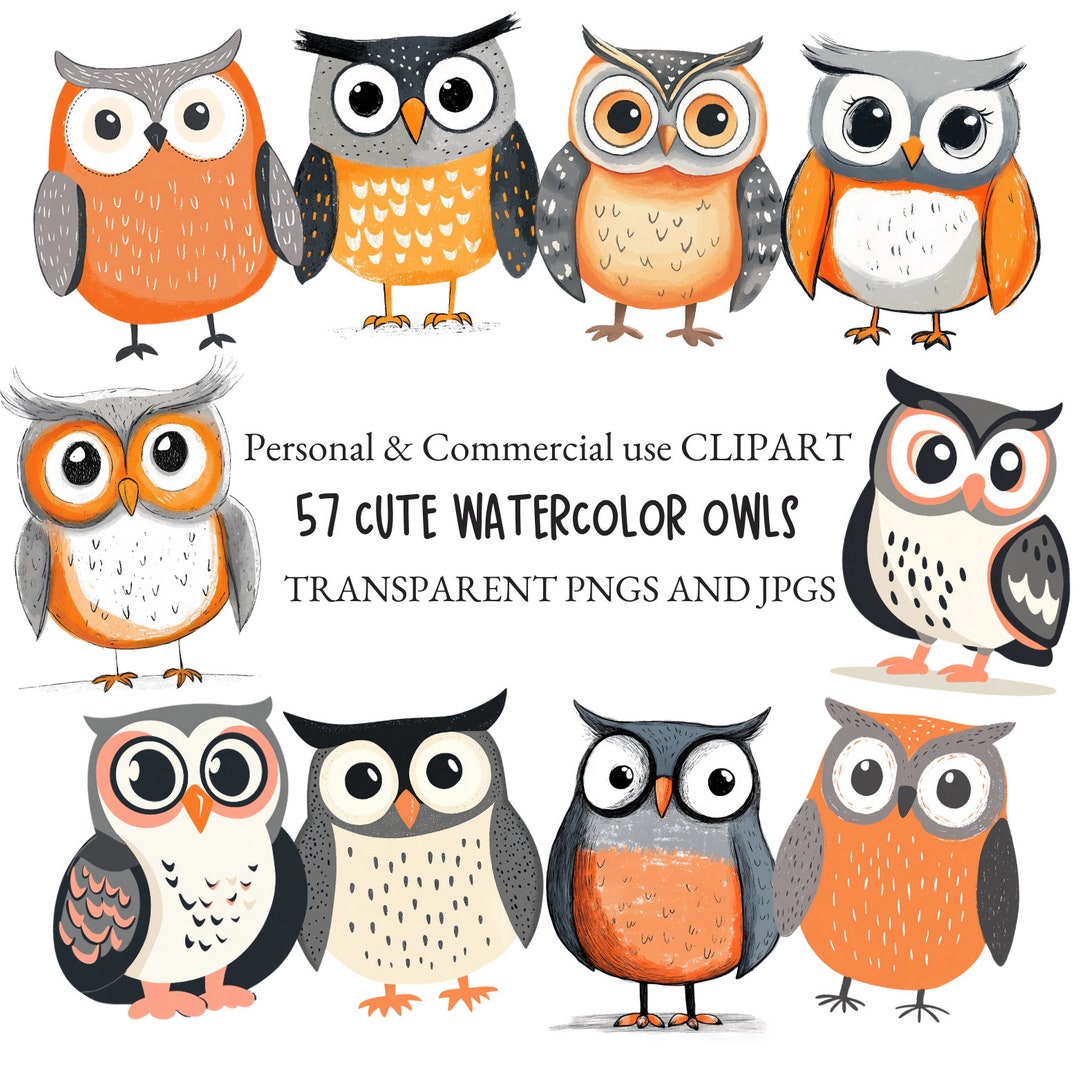 Watercolor Cute Owl Clipart Bird Clipart|nursery Clipart, Crafts and ...