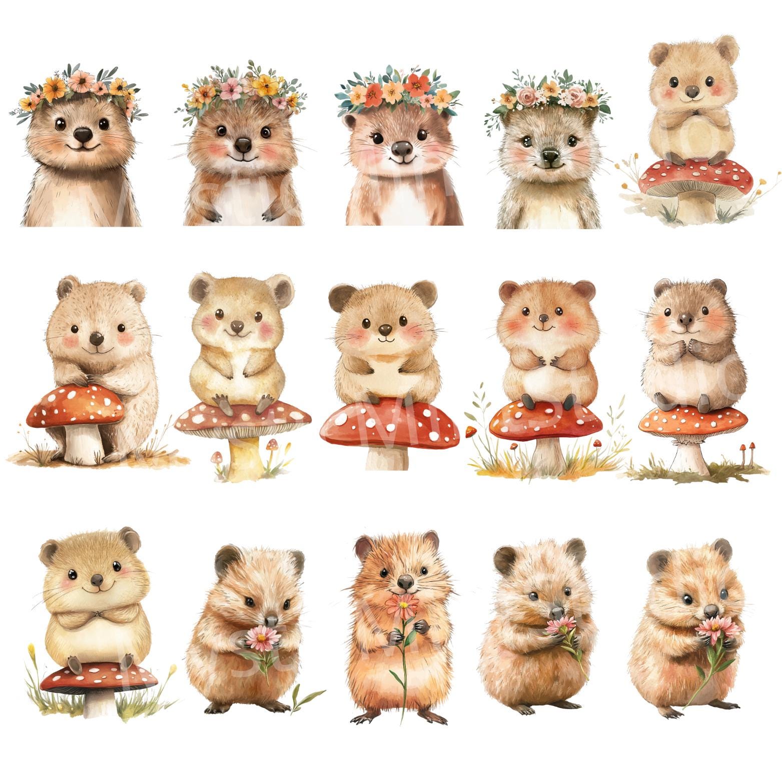 Cute Quokka Clipart | Australian Animal PNG L Watercolor Quokka Clipart ...