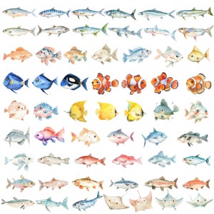 156 Undersea Watercolor Clipart Bundle,ocean Animals,octopus, Jellyfish ...